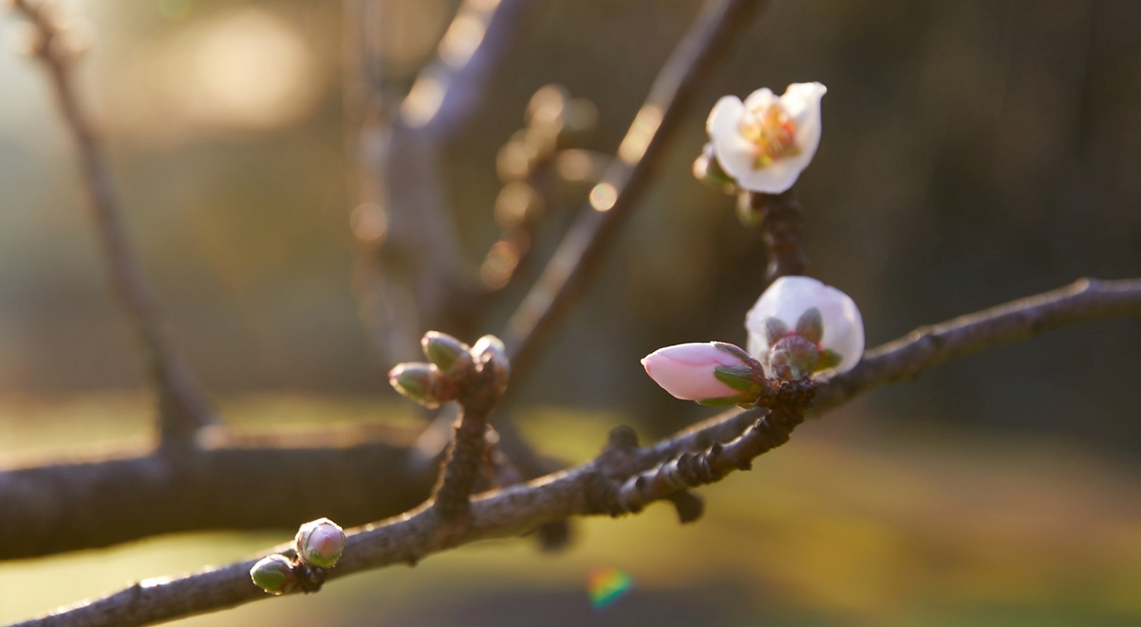 Product - Newfound Wines